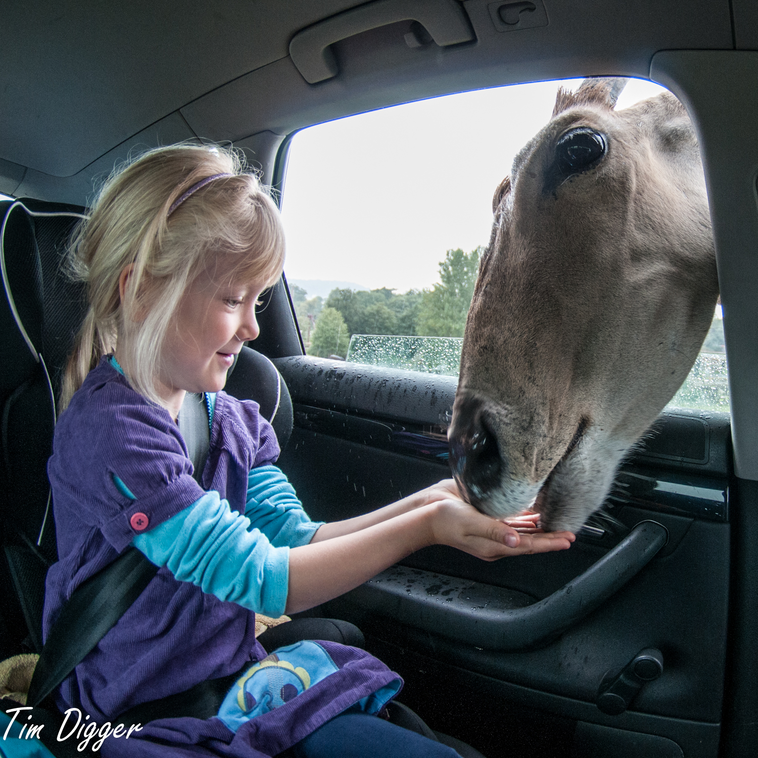 sharing 8692 — Postimages