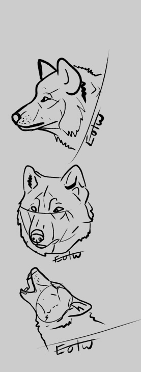 Wolf Play : Wolf Commissions (CLOSED)