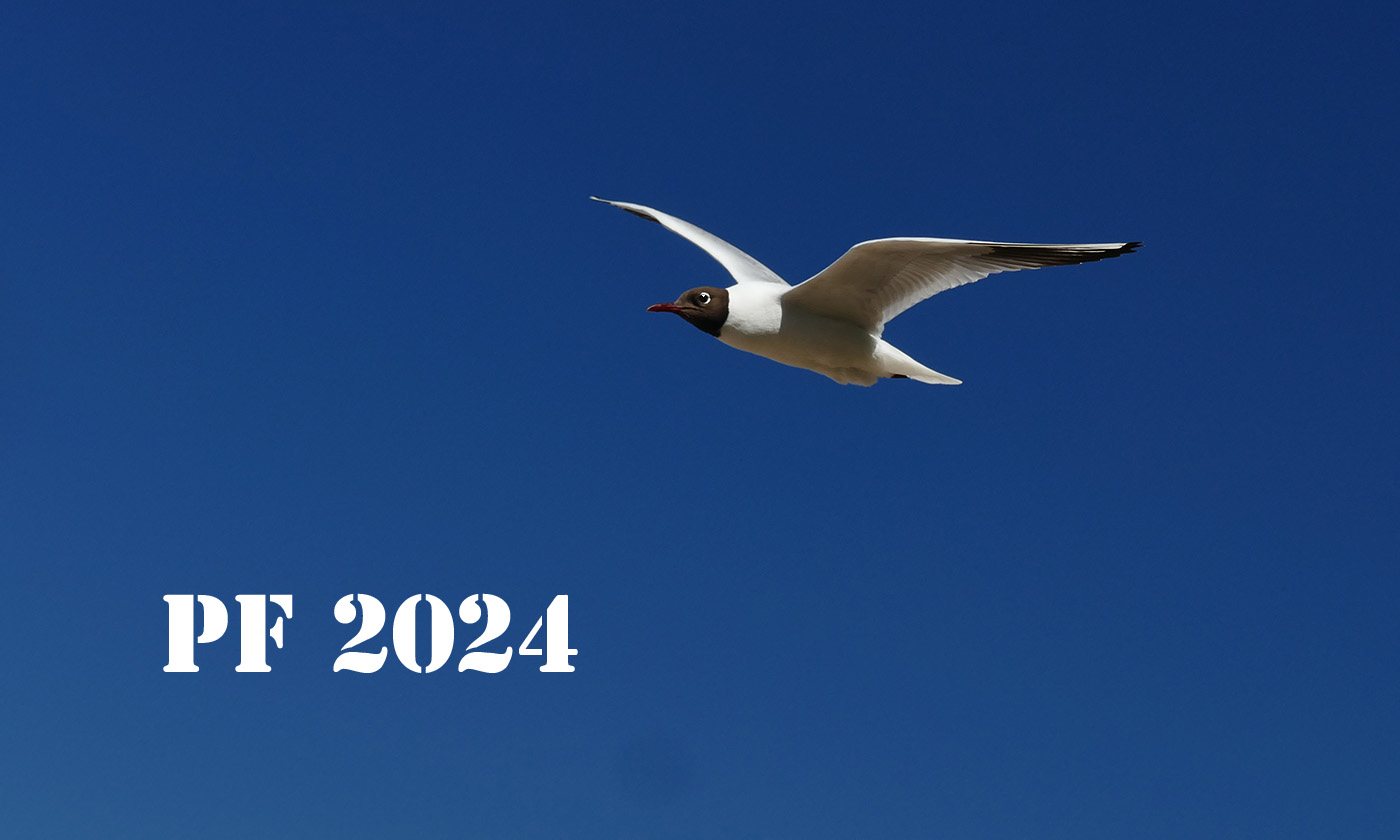 PF 2024 2 — Postimages