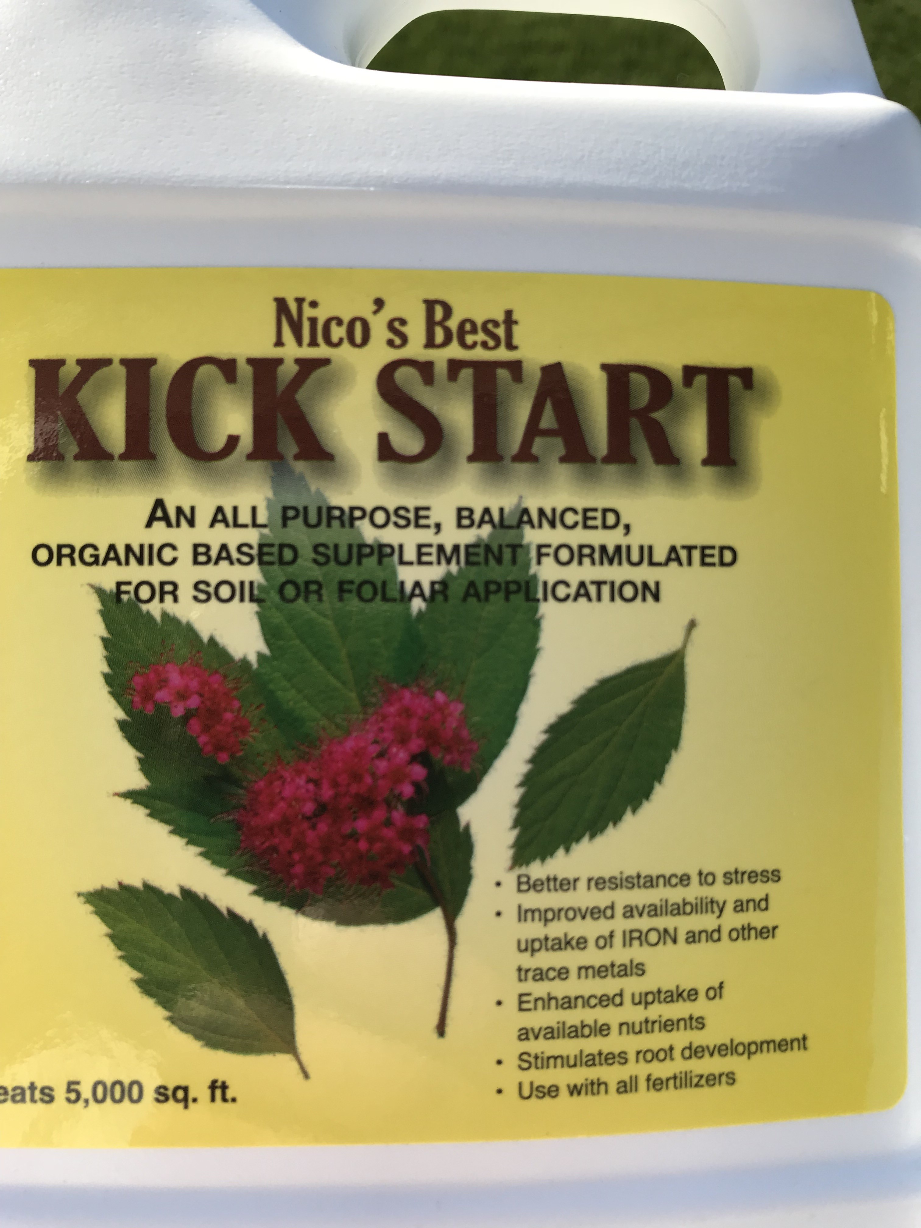 IMG 7846 — Postimages