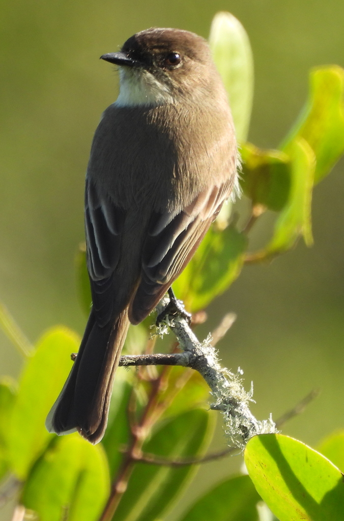 DSCN6092 Copy — Postimages