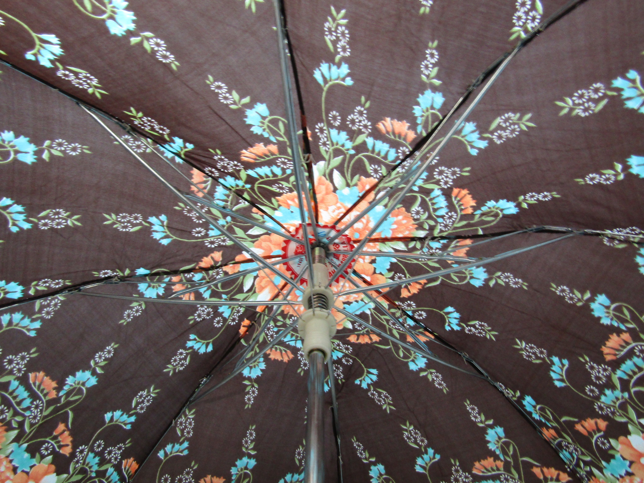 IMG 1347 — Postimages