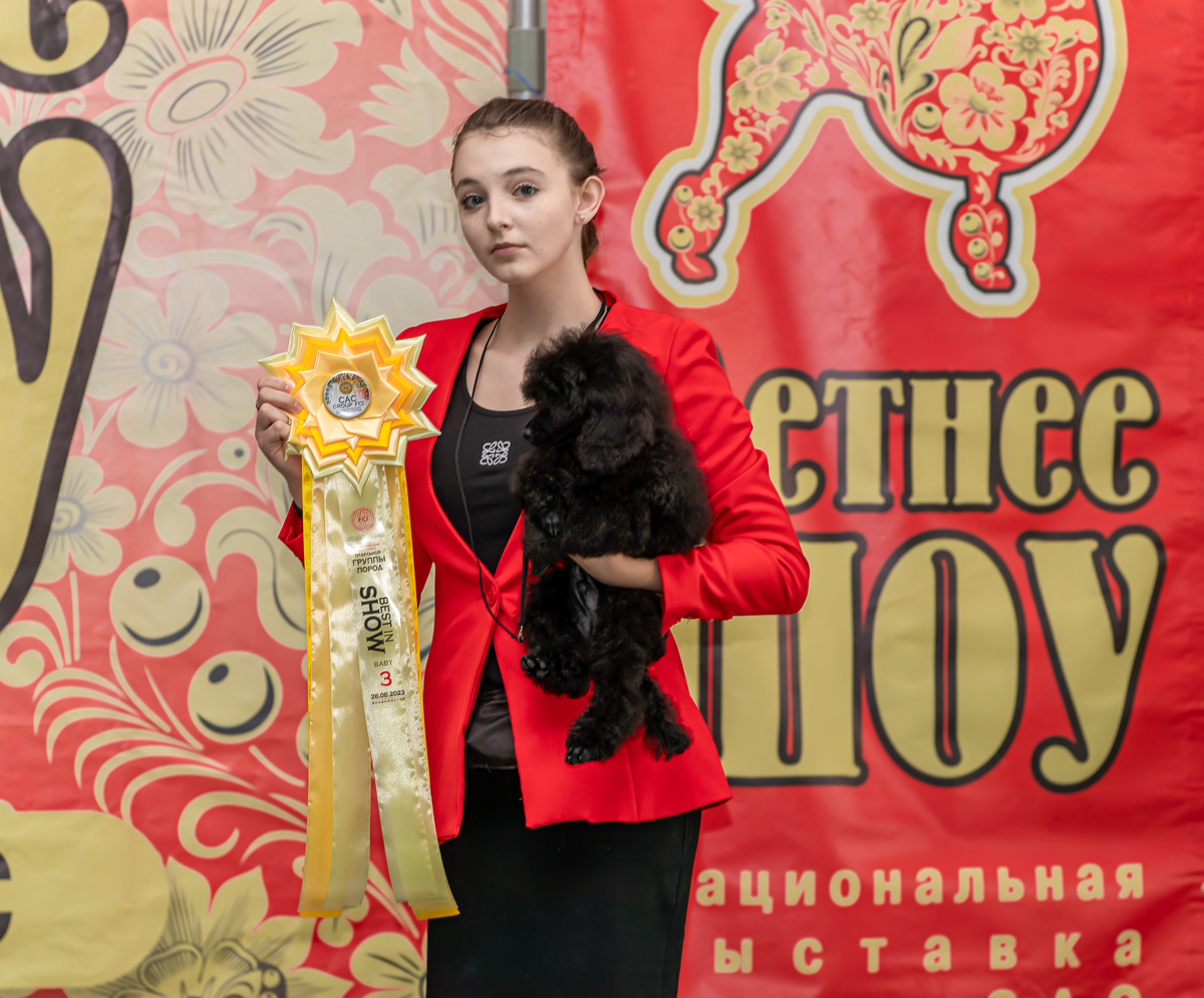 236 CR2 — Postimages