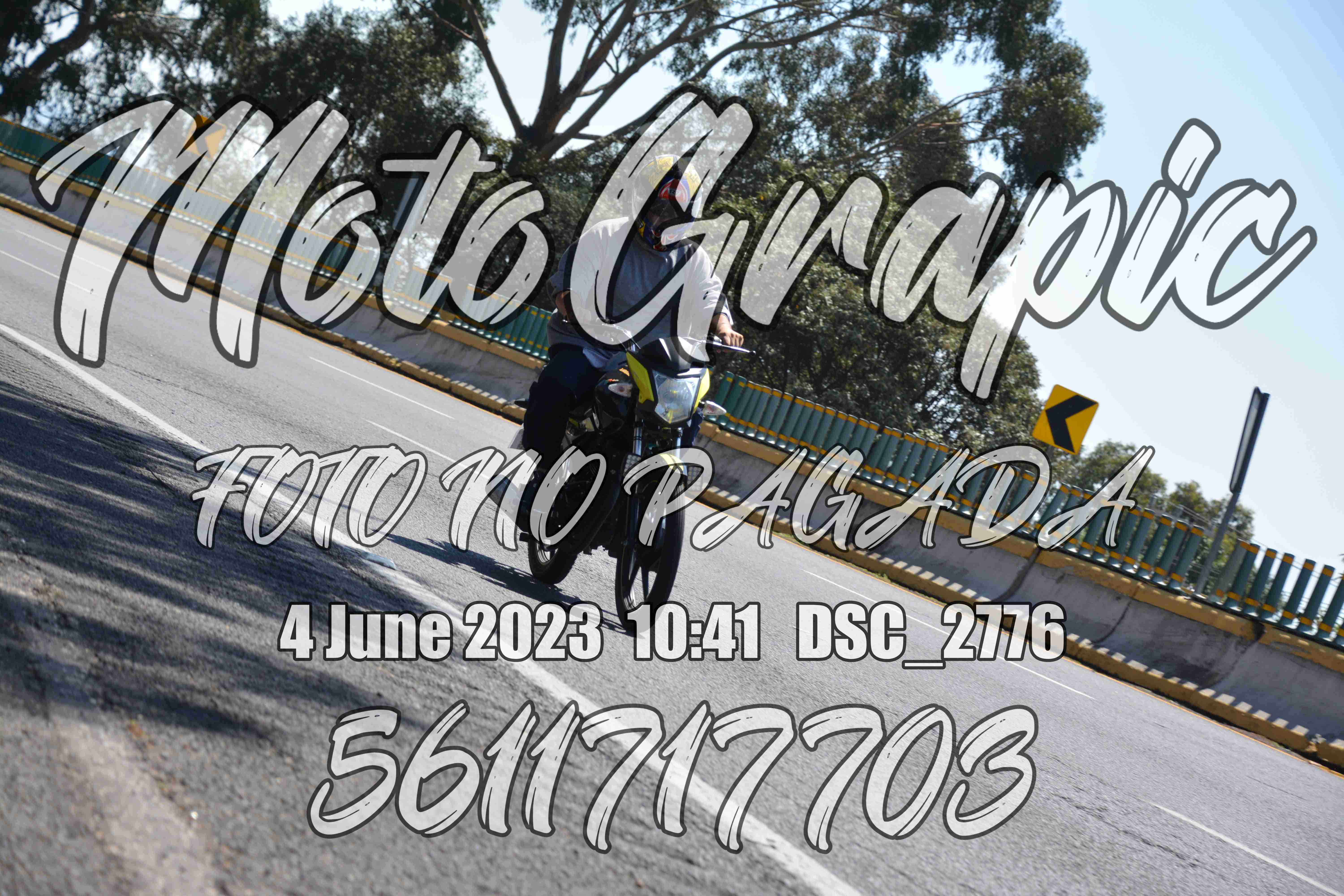 motgr DSC 2776 — Postimages