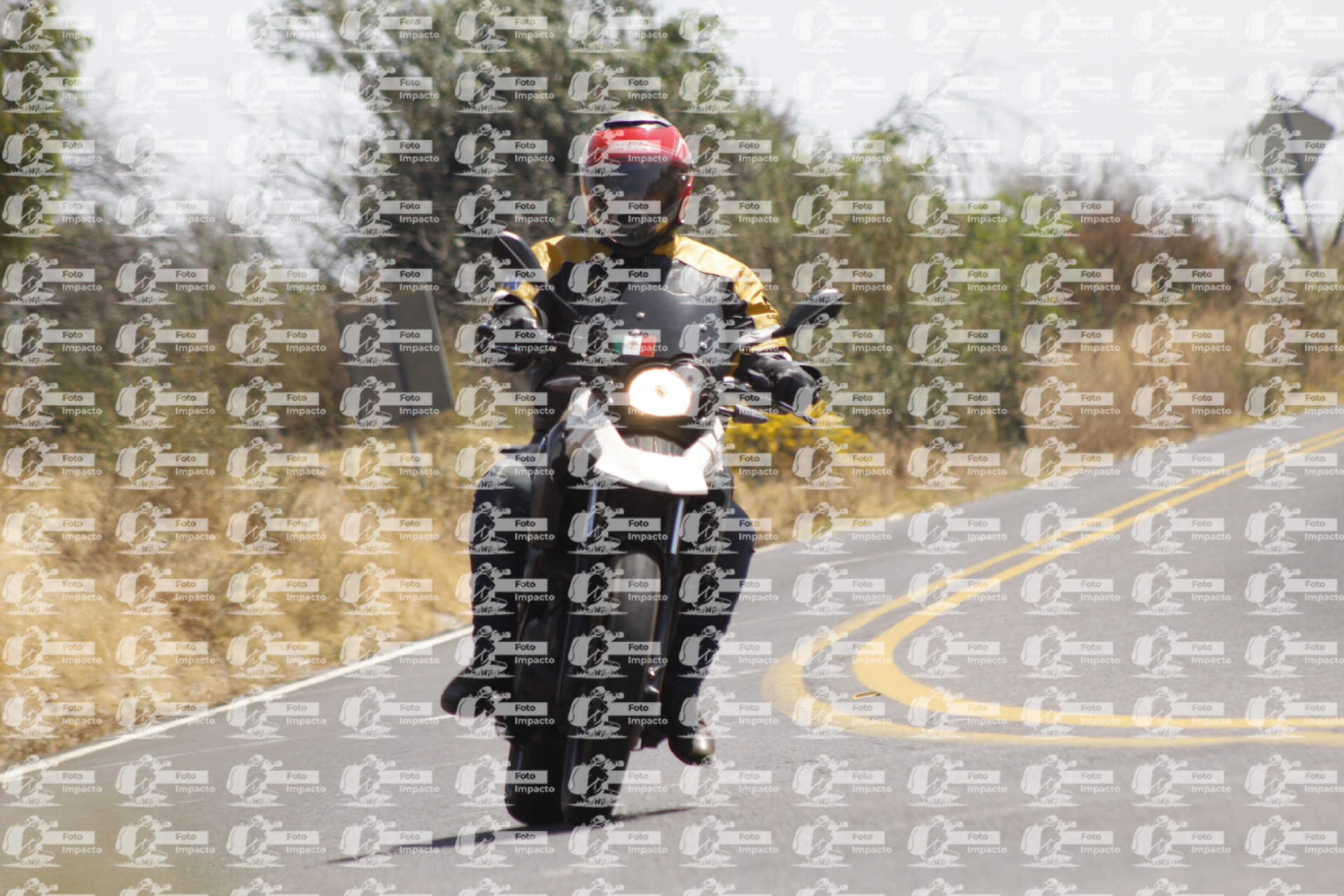 MG 0381 — Postimages