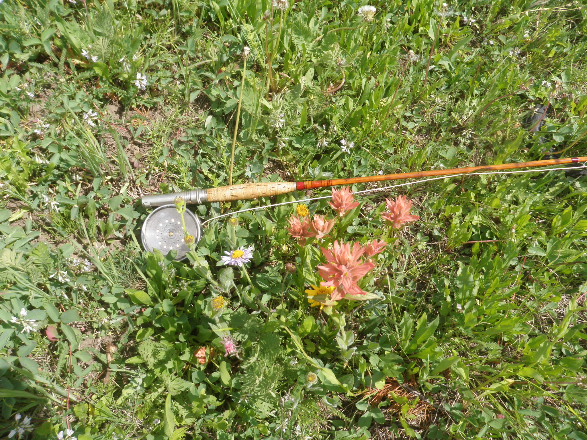 073122 041 — Postimages