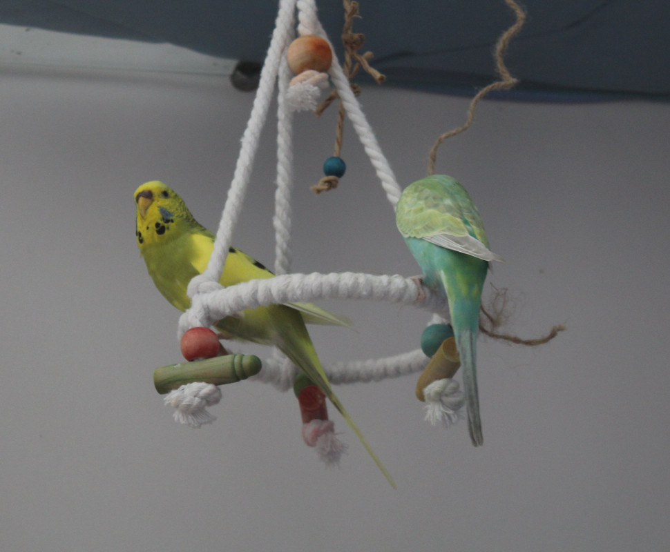 20230822165810 img 0872 — Postimages