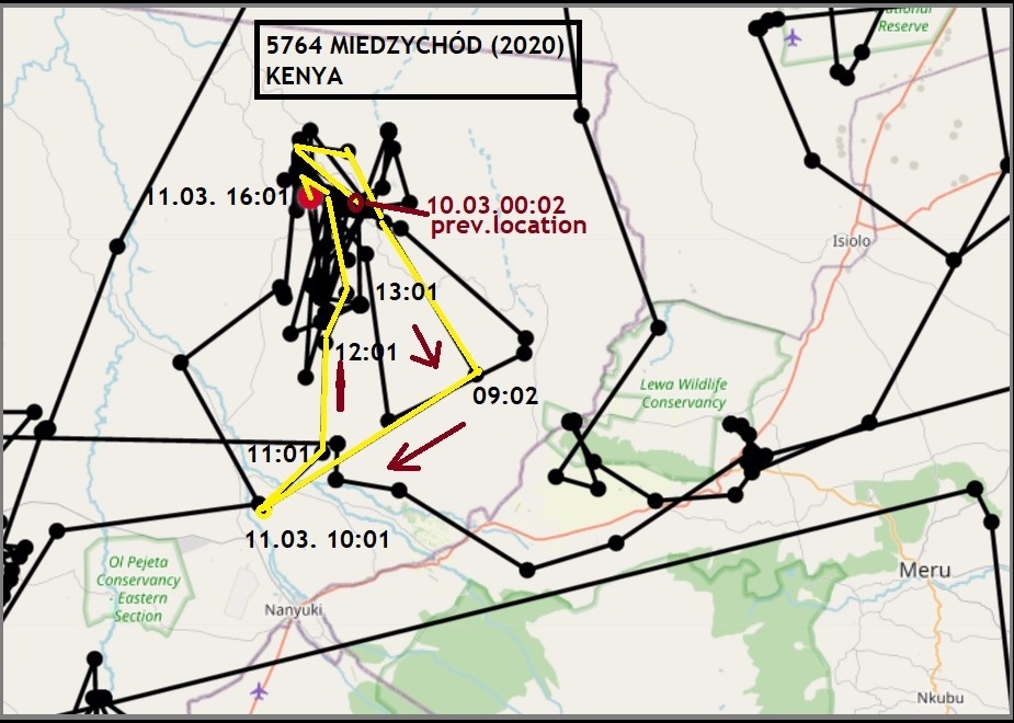 Black Stork Tracks - Page 600 - Looduskalender