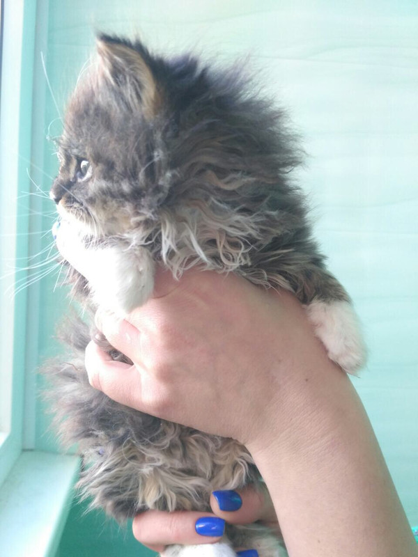 IMG 8625 — Postimages