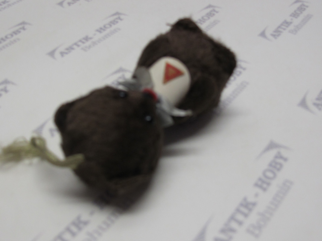 IMG 6161 — Postimages