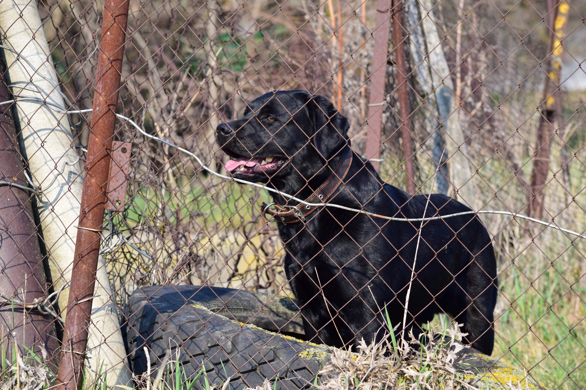 DSC 0452 — Postimages