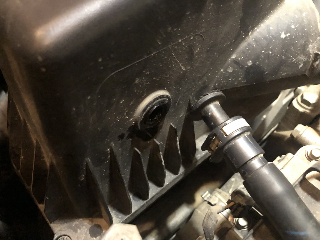 IMG 5619[1] — Postimages