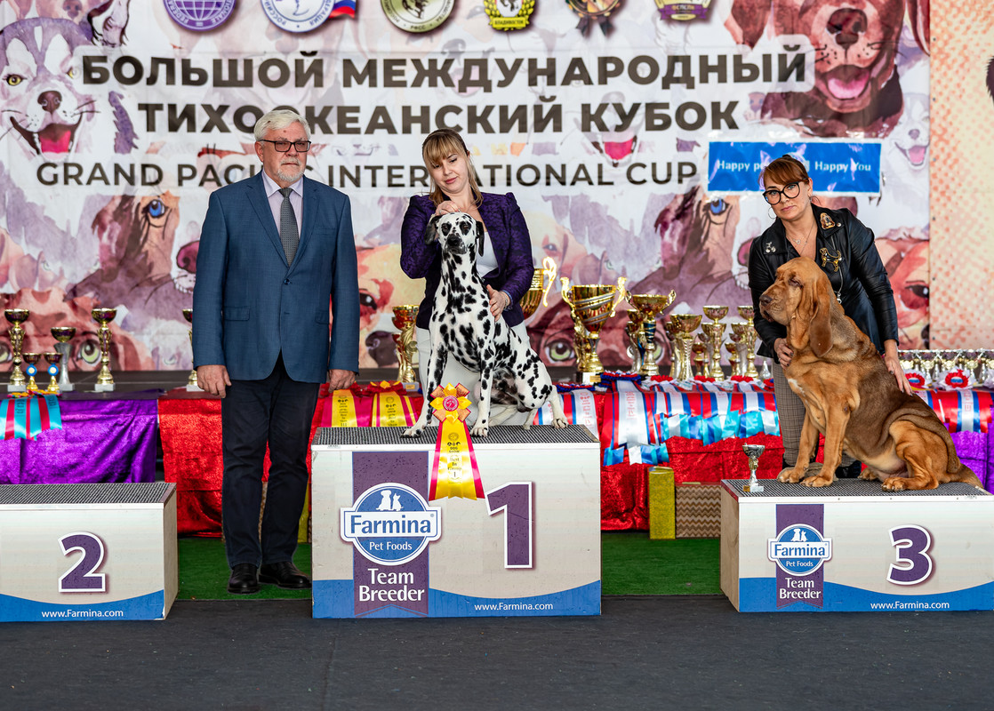 01 269 — Postimages