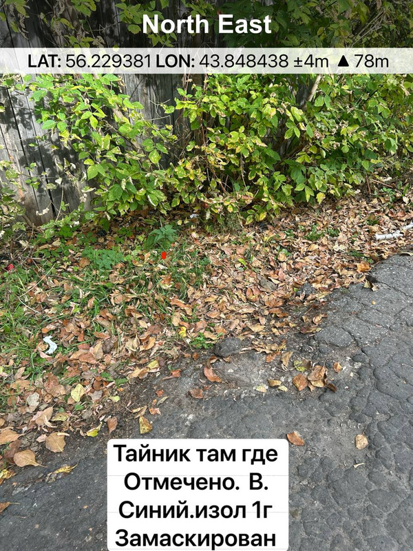 IMG 2547 — Postimages