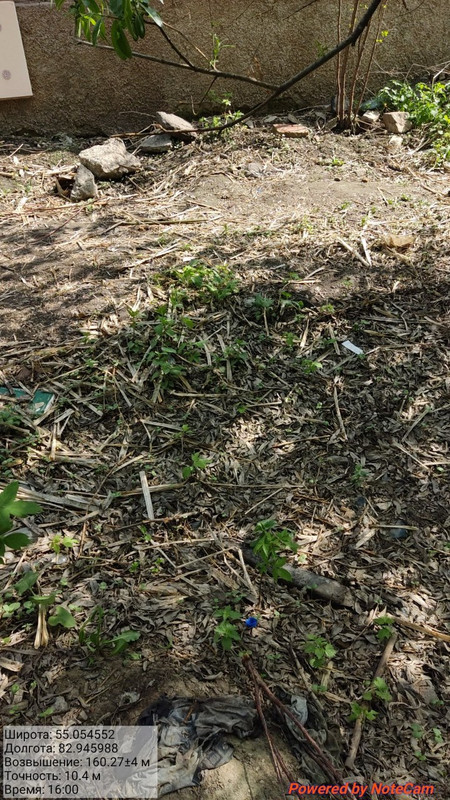 IMG 20230522 124721 459 — Postimages