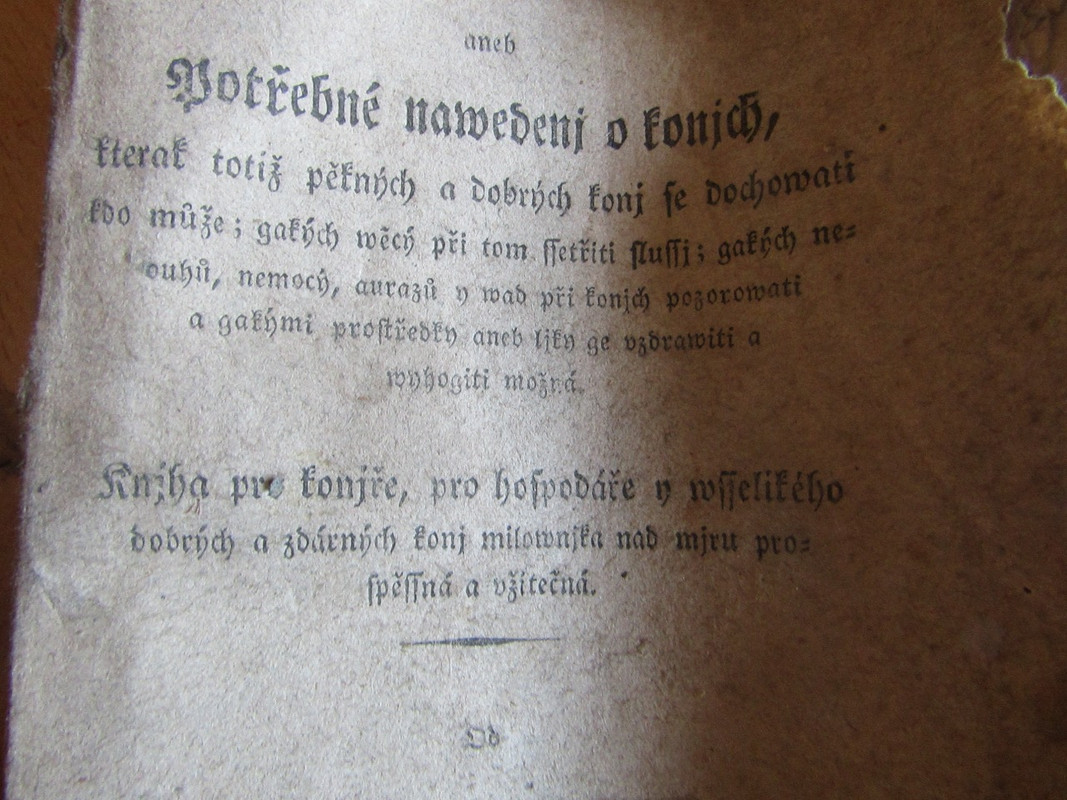 IMG 5952 — Postimages