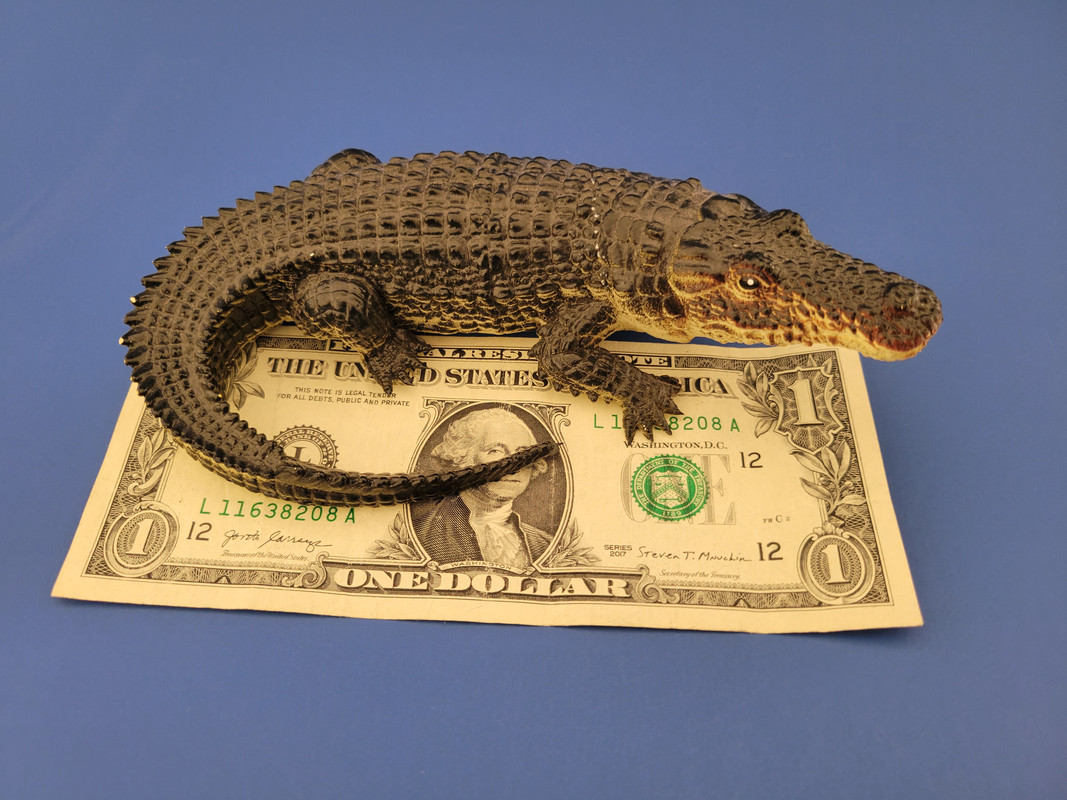 AZA Cuban Crocodile for TAW