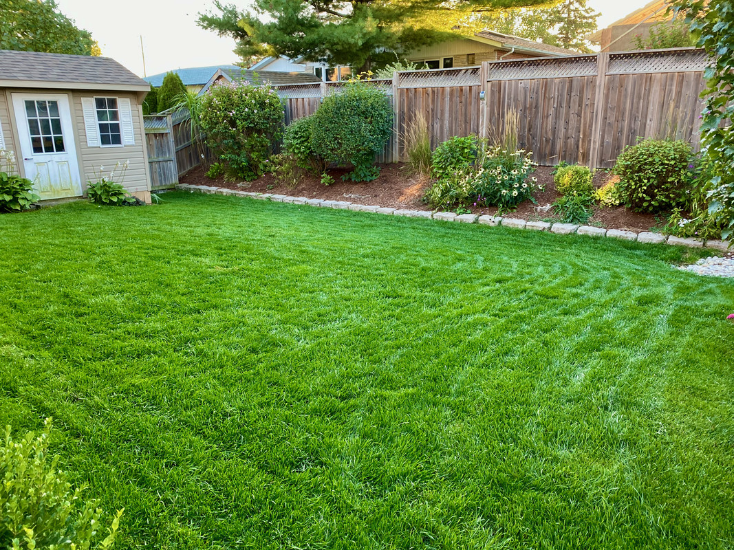 IMG 8631 — Postimages