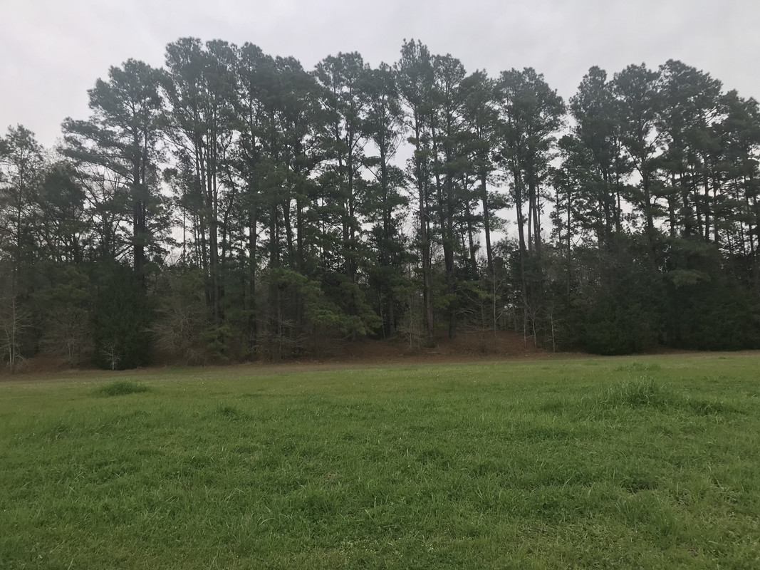 B9 C6 B0 AD B007 4 B08 9048 80517 CB933 DB — Postimages