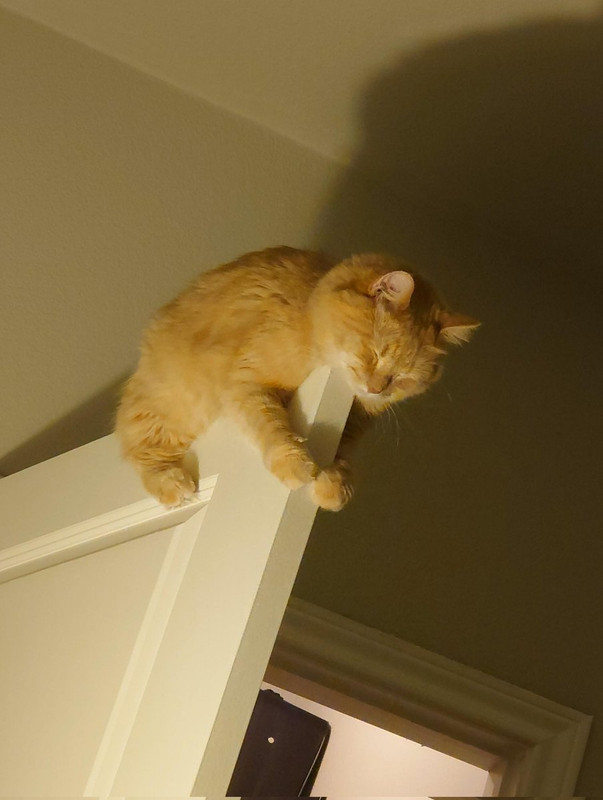 Ft N4 Jv3a UAARECn — Postimages