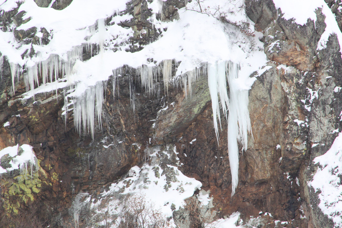 IMG 0054 — Postimages