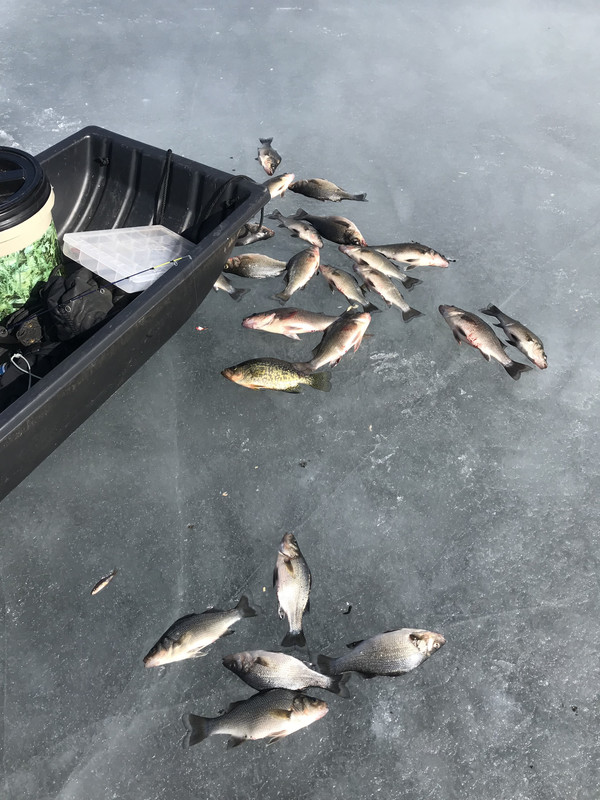 10863 CE7 6626 4 E04 B902 DDD33342 C161 — Postimages