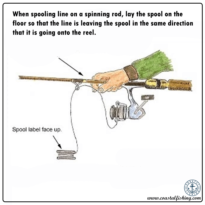 Spooling a new reel... : r/Fishing_Gear