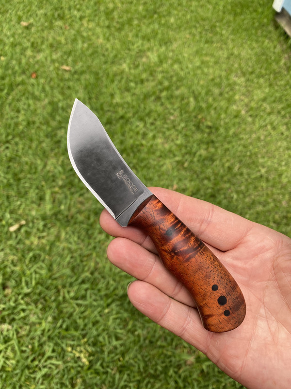 IMG 7154 — Postimages