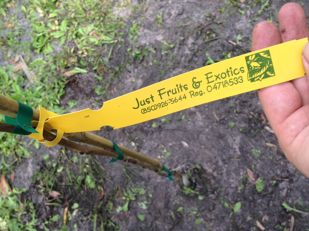 IMG 0988 — Postimages