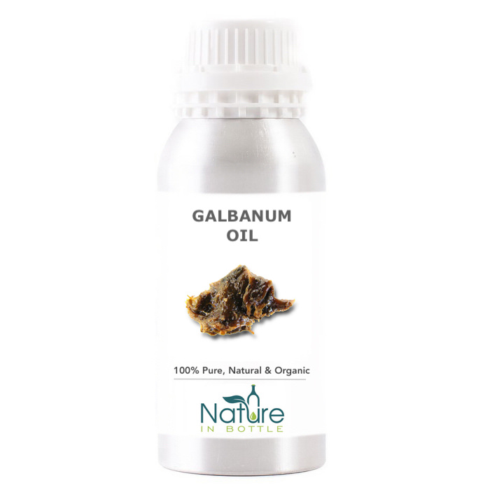 Galbanum Essential Oil Organic - Ferula Galbaniflua Resin