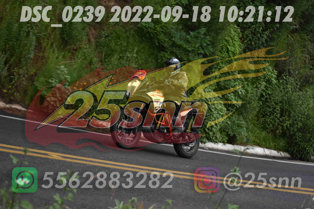 DSC 0239 — Postimages