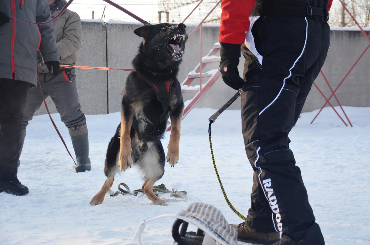 50815329 1908906995897759 925576623497936896 o — Postimages