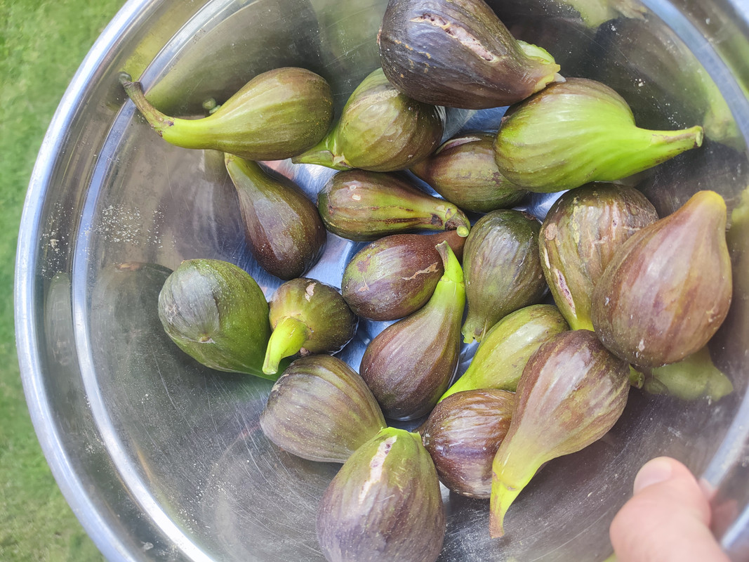 IMG 20230810 162655 — Postimages