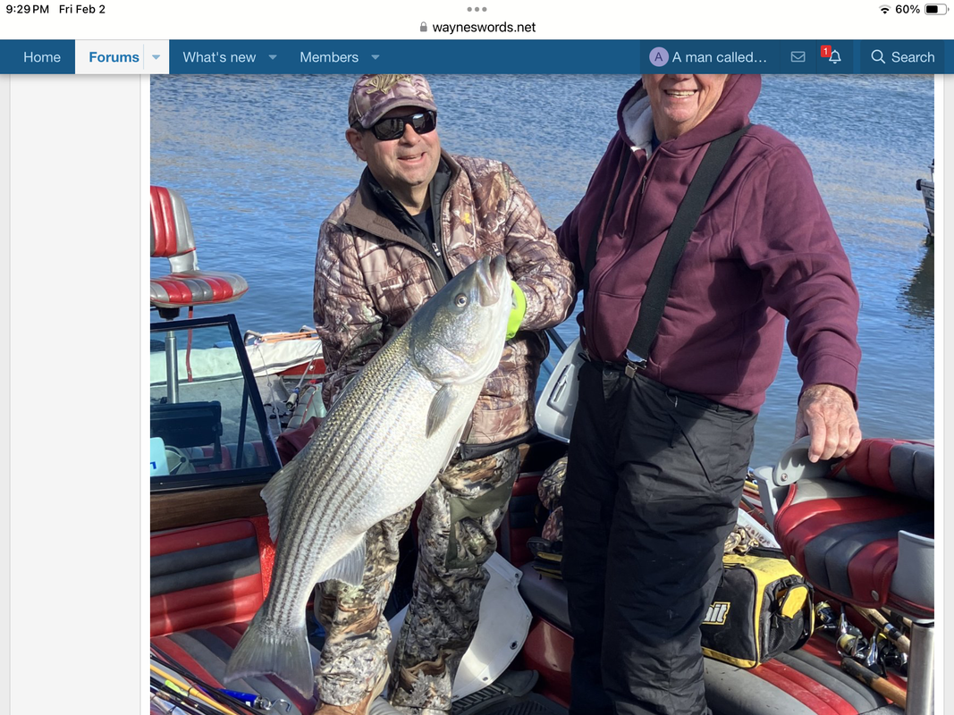 IMG 4200 — Postimages