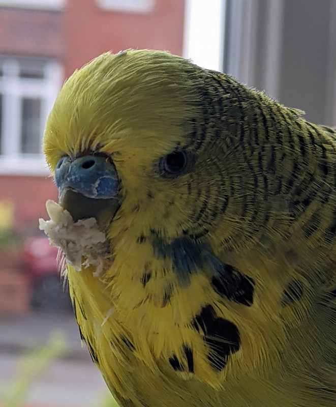 PXL 20230505 071440820 MP 2 — Postimages