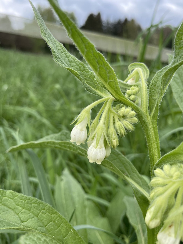 B251 DBE6 2 A05 46 D5 A4 A2 D210 A008 C201 — Postimages