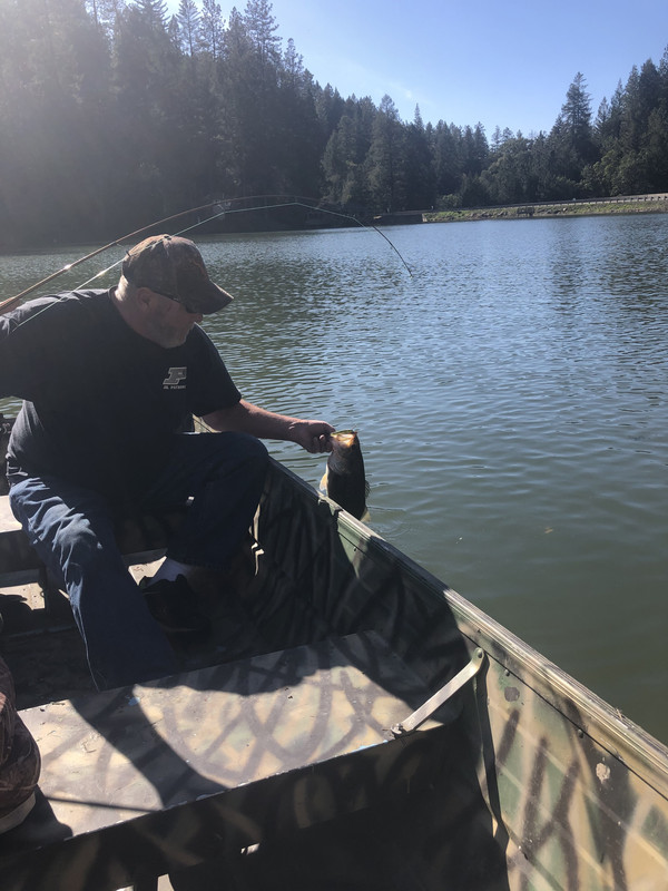 Mad L — Postimages