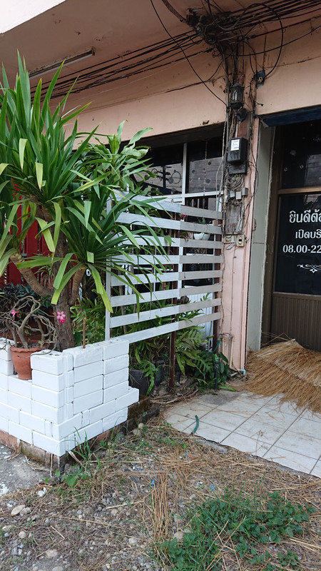 DSC 0741 — Postimages