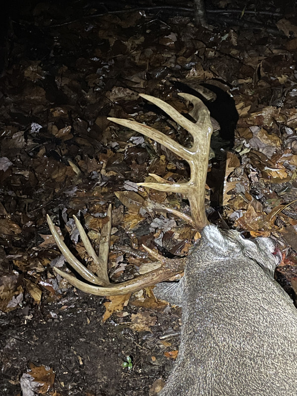 C65 D65 FB 8489 43 B2 A1 E5 9 E8 E17 F664 ED — Postimages