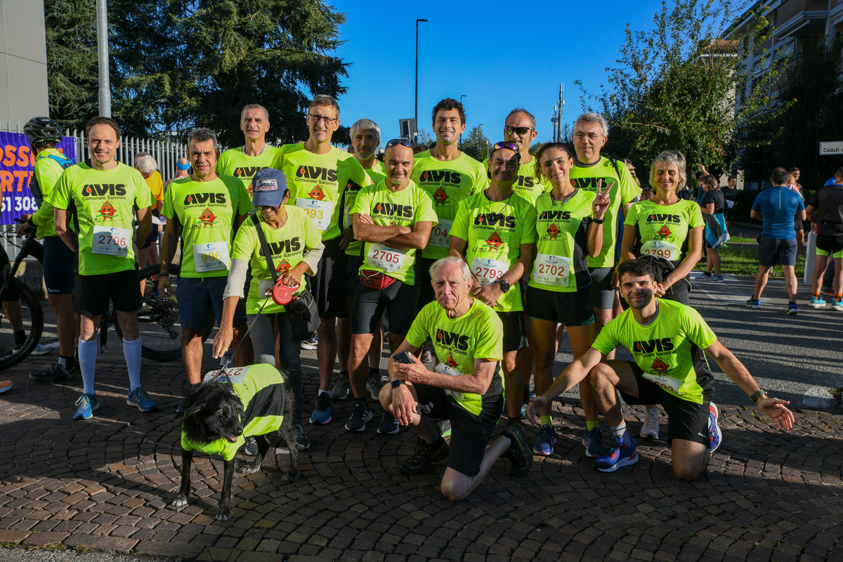 DSC 2208 — Postimages