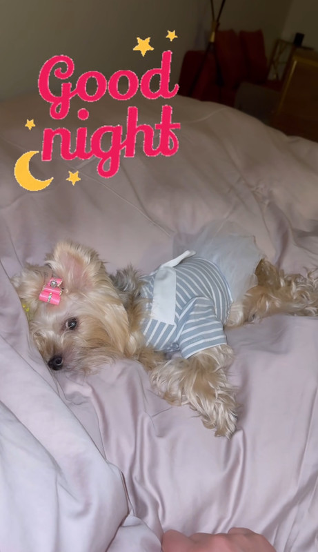 IMG 1530 — Postimages