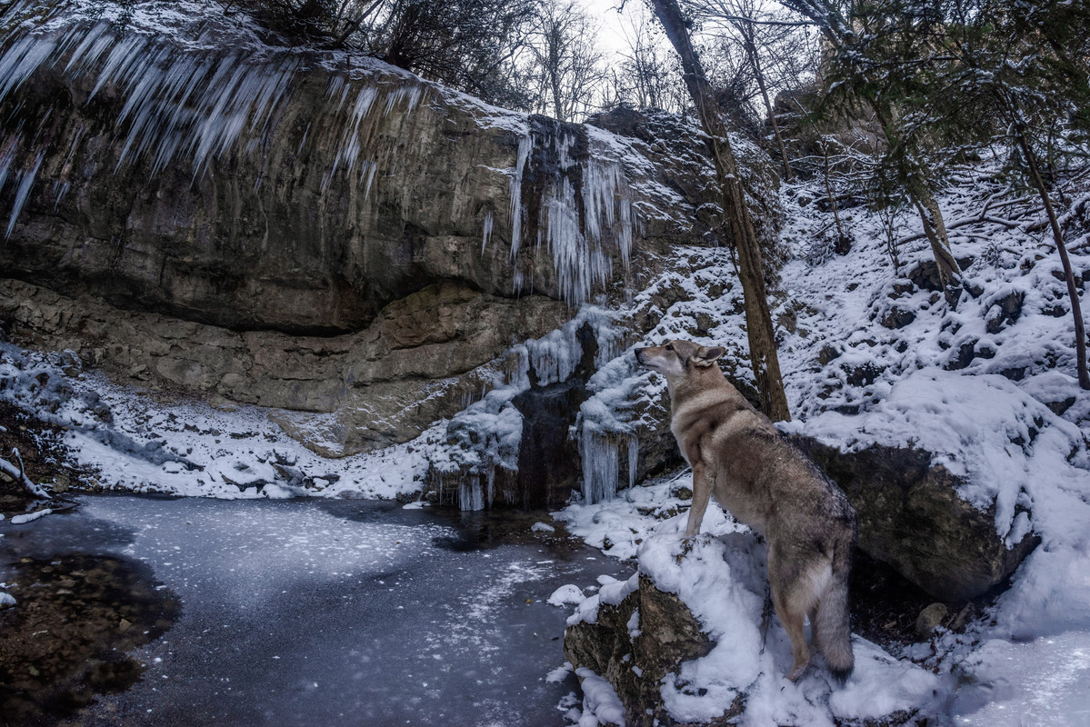 V0003894 Nс — Postimages