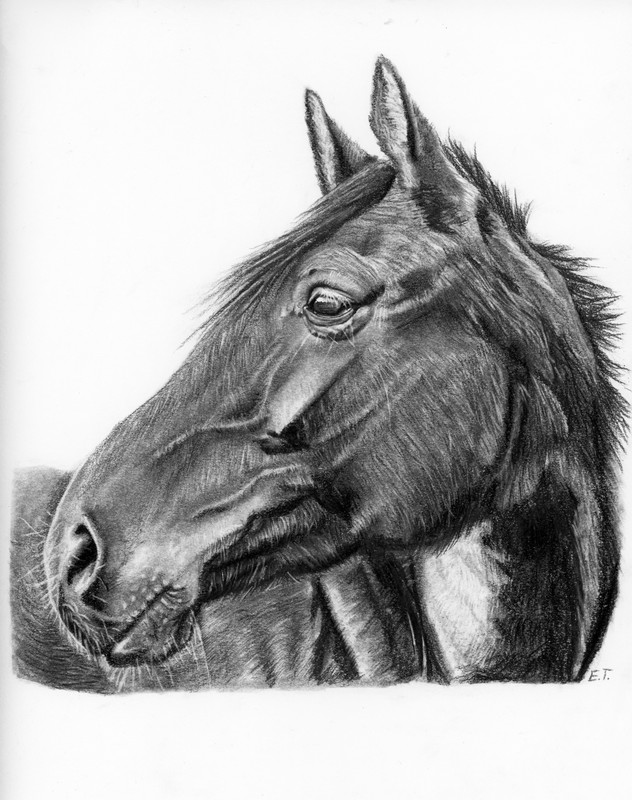 temp Imagekb Ymx9 — Postimages