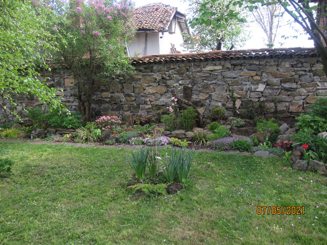 IMG 3059 — Postimages