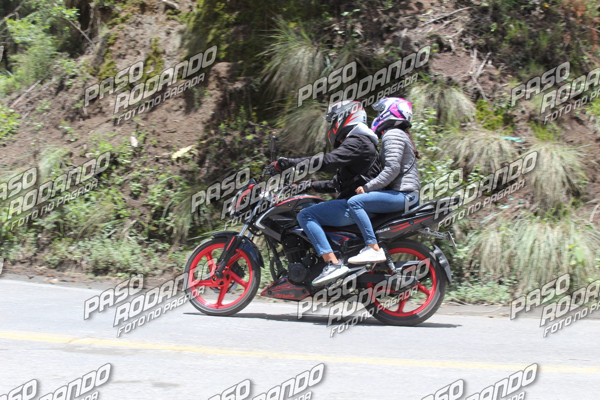 IMG 3766 wm 6947081 399999999 watermarked — Postimages