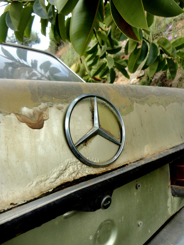 MERC123 ALG1804 Bd1 — Postimages