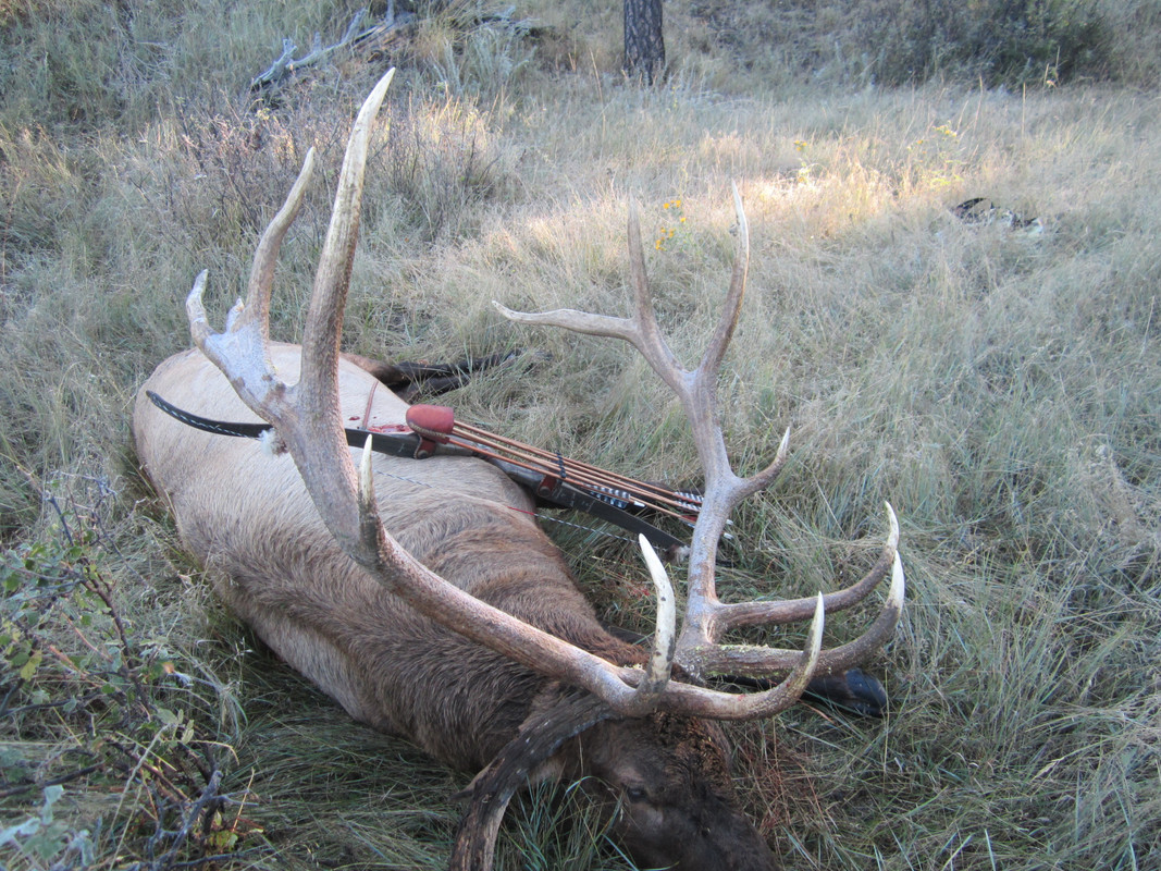 2014 634 — Postimages