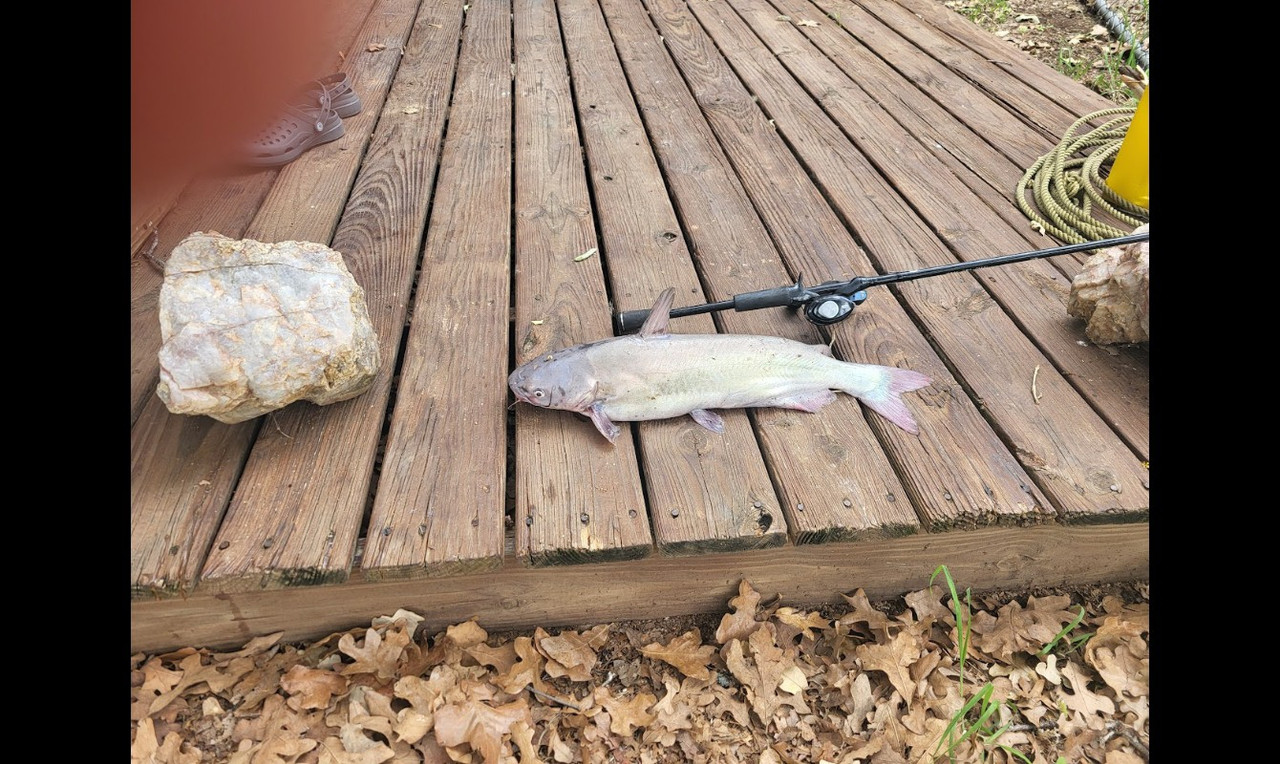 Screenshot 20240608 163132 Photos — Postimages