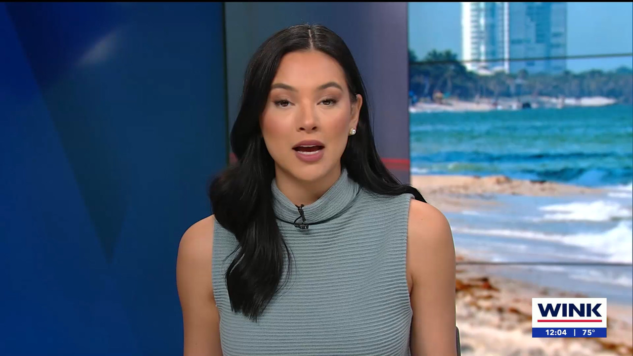 01 05 17 00 01 WINK Noon News Local news, sports and weather (n ts ...