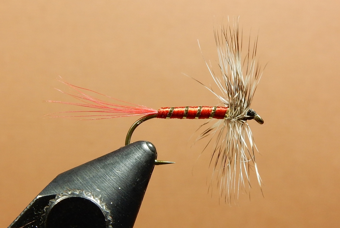 Gray Hackles - Fly Tying - Maine Fly Fish